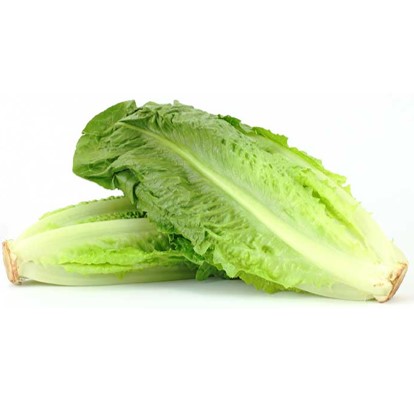LECHUGA COSTINA CORAZON 2 UNIDADES – Mandarina Delivery