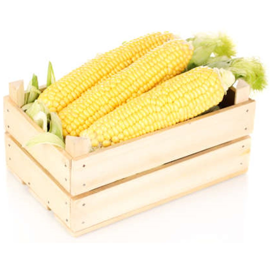 Mayorista – Mandarina Delivery